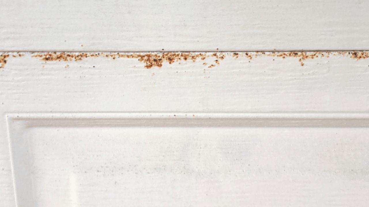 Painted Garage Doors: The Ultimate Guide to Proper Care